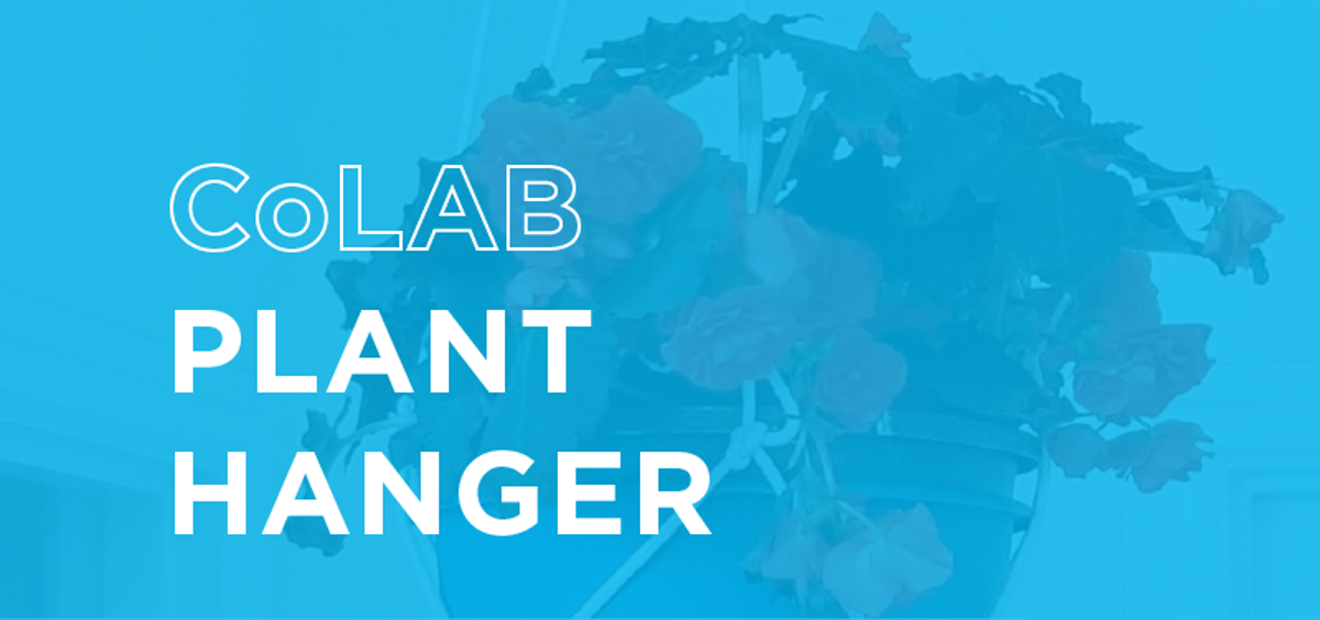 CoLab: Plant Hanger | The Anchorage Museum