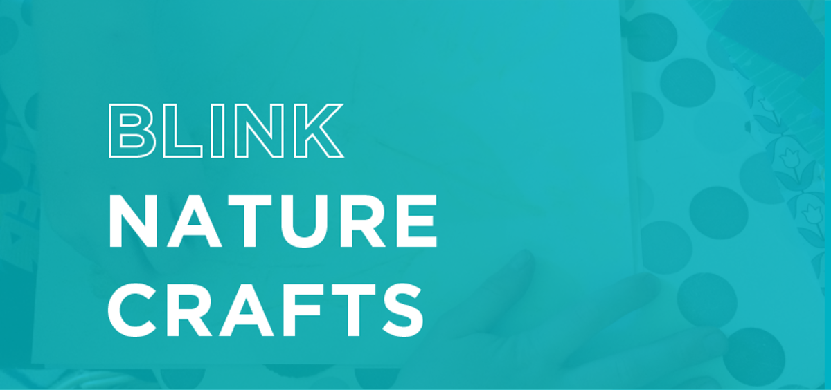 BLINK At Home: Nature Crafts - The Anchorage Museum