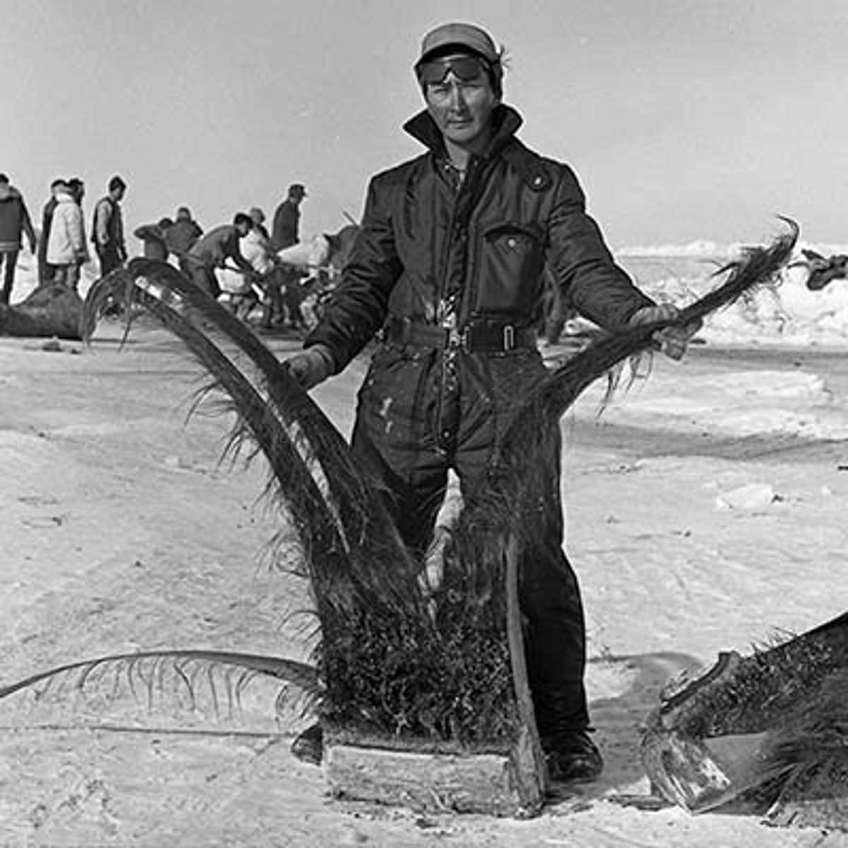 Baleen - The Anchorage Museum