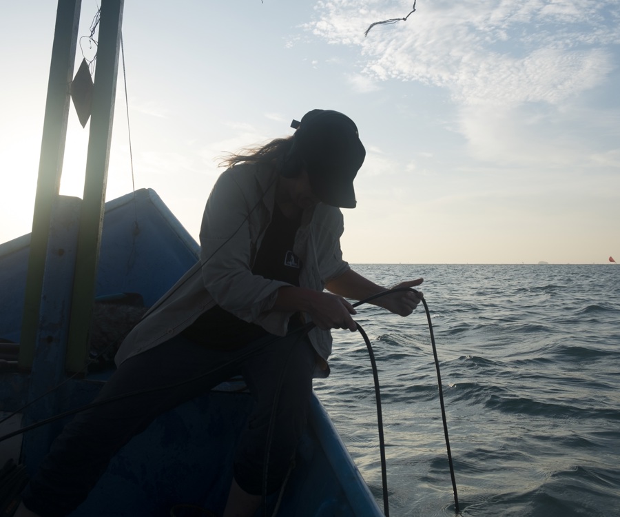 Listen Up: Northern Soundscapes - Anchorage Museum at Rasmuson Center