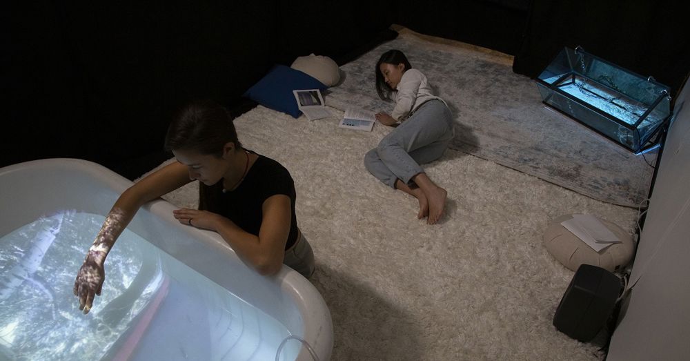 Love, loss, and longing: Ellie Schmidt on relationships to land in ...