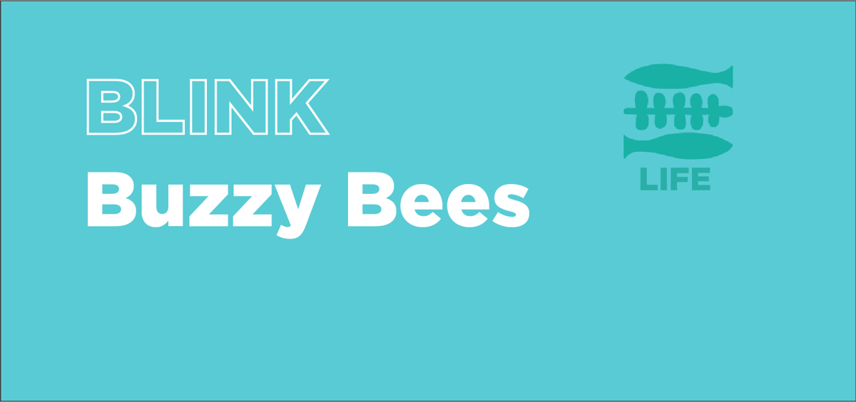 BLINK at Home: Buzzy Bees - The Anchorage Museum