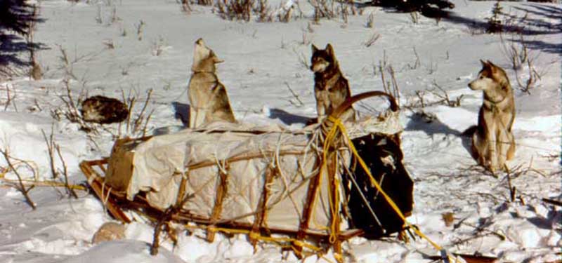 Subject Guides - Anchorage Museum at Rasmuson Center