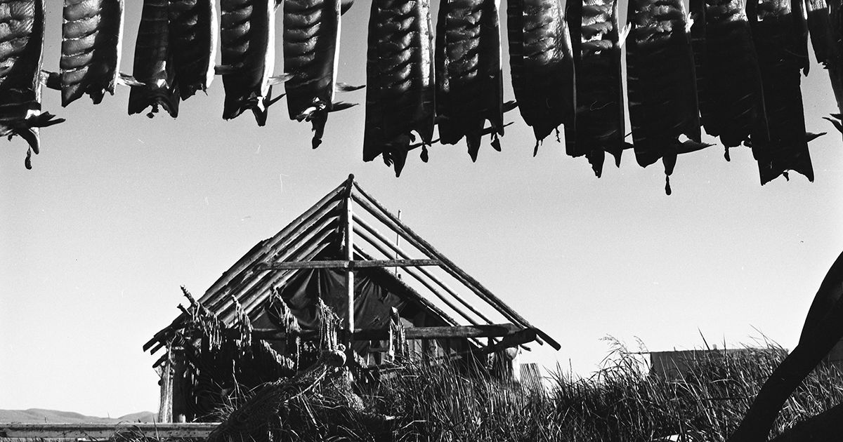 Browse the Collections - The Anchorage Museum