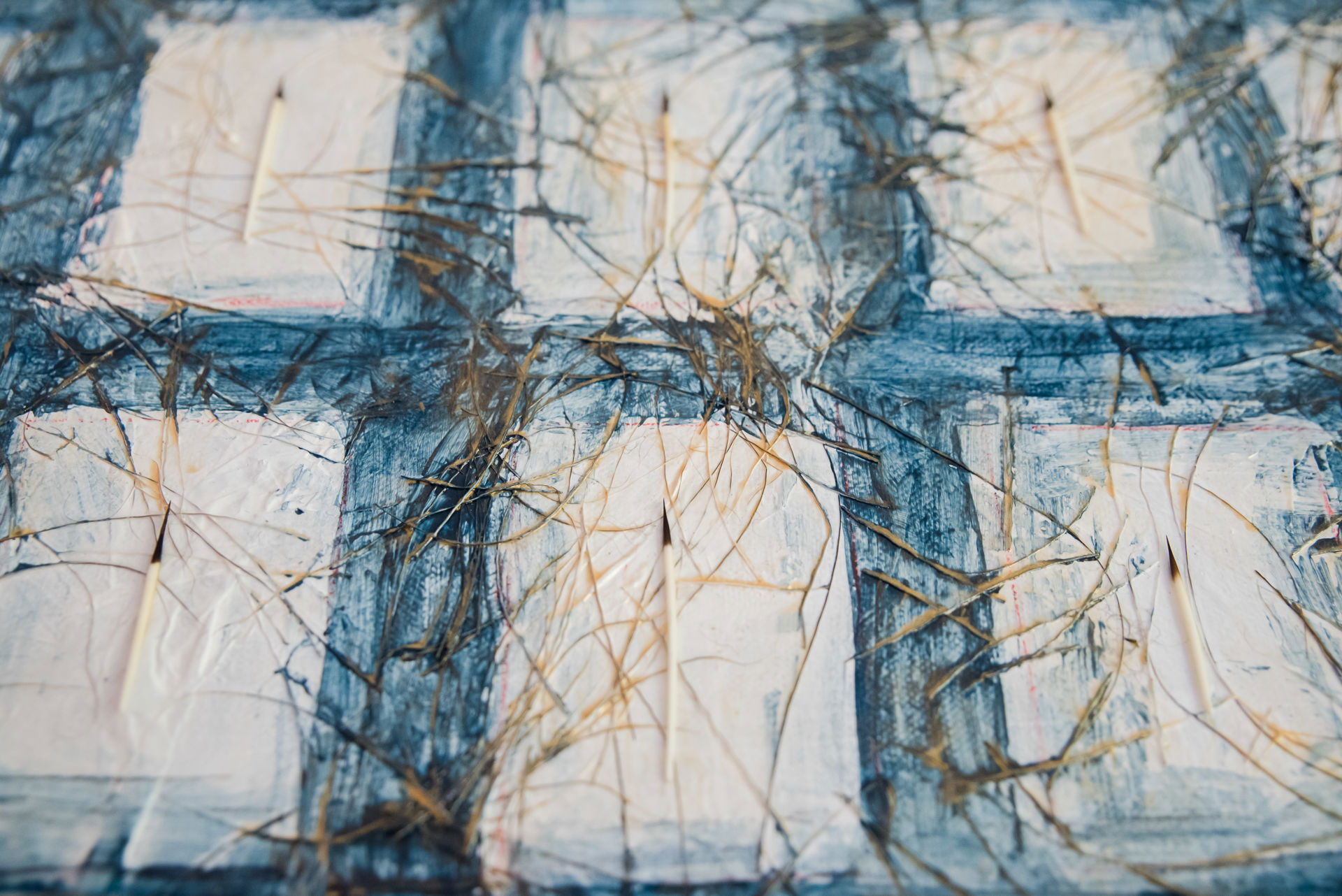 Colleen Firmin Thomas - The Anchorage Museum