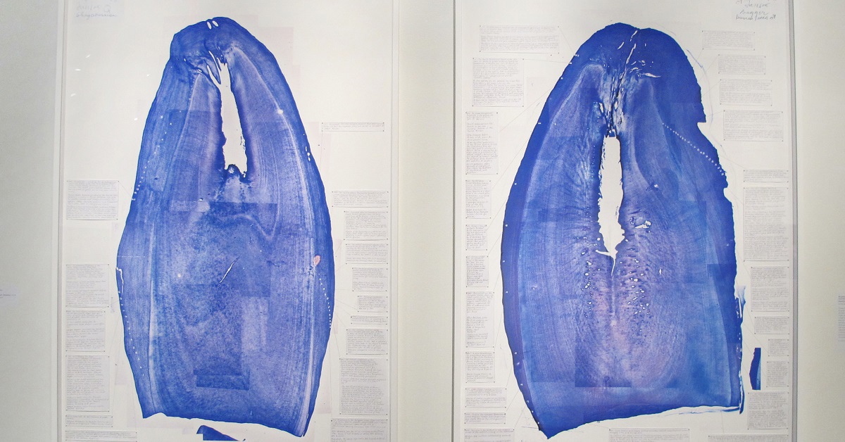 Museum experiences highlight art as activism - The Anchorage Museum