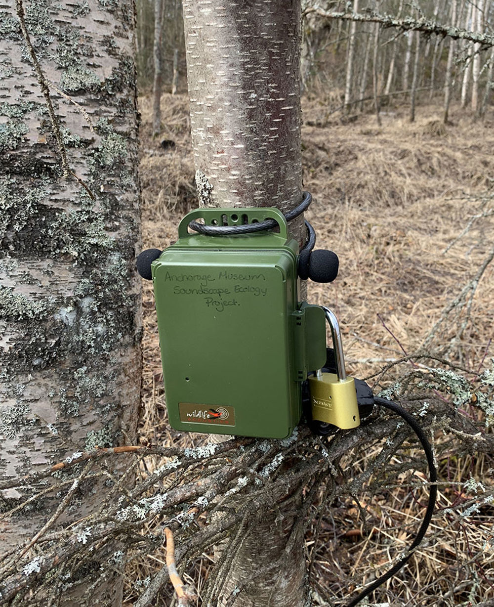 Sound Library - The Anchorage Museum