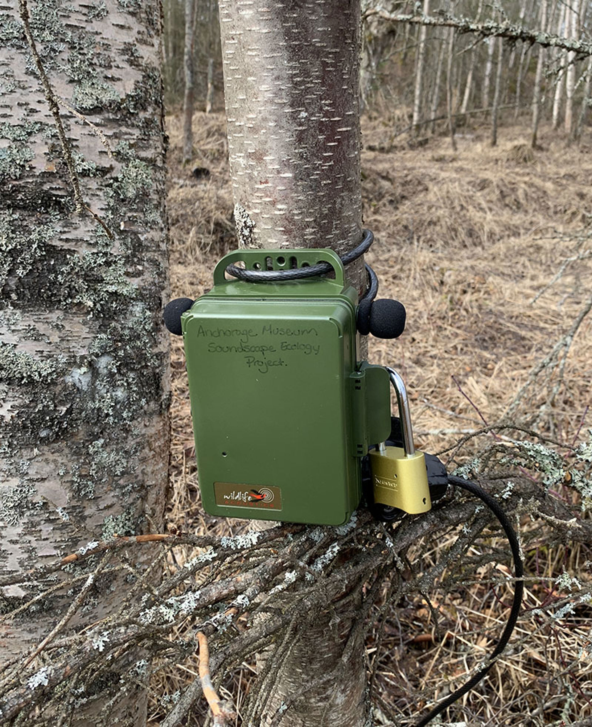 Sound Library - The Anchorage Museum
