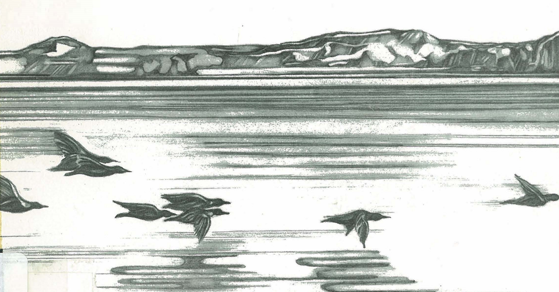 Chatter Marks Journal & Podcast - The Anchorage Museum