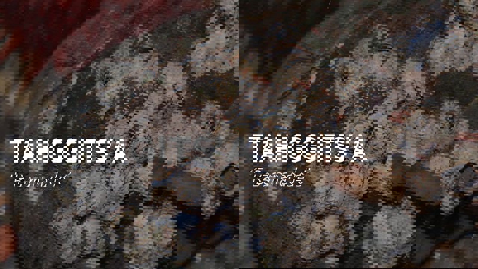 Dena'ina Word of the Week - The Anchorage Museum