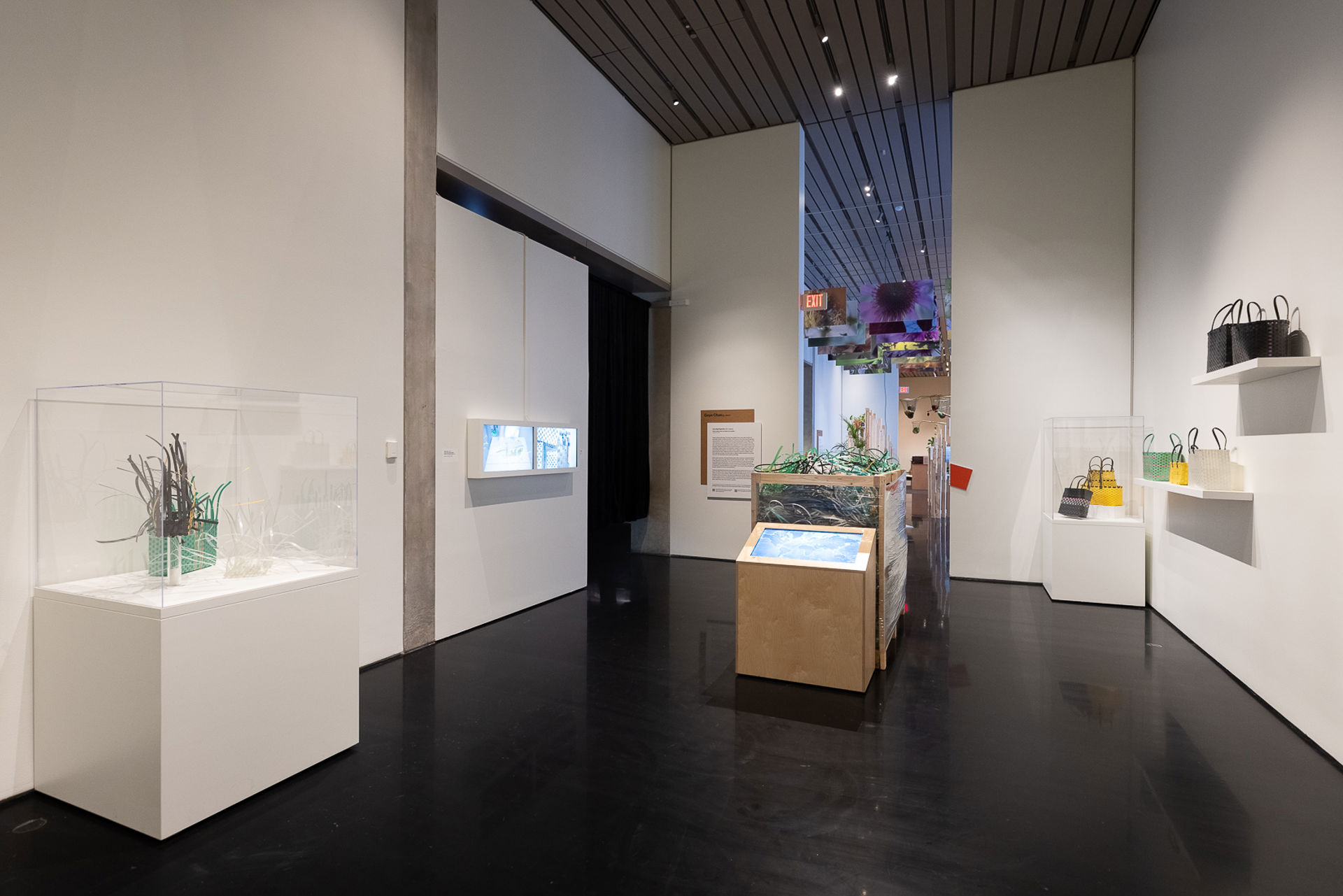 How to Survive | The Anchorage Museum