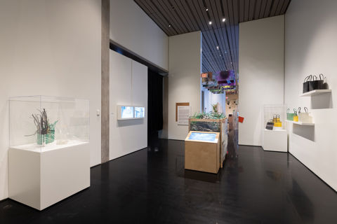 How to Survive | The Anchorage Museum